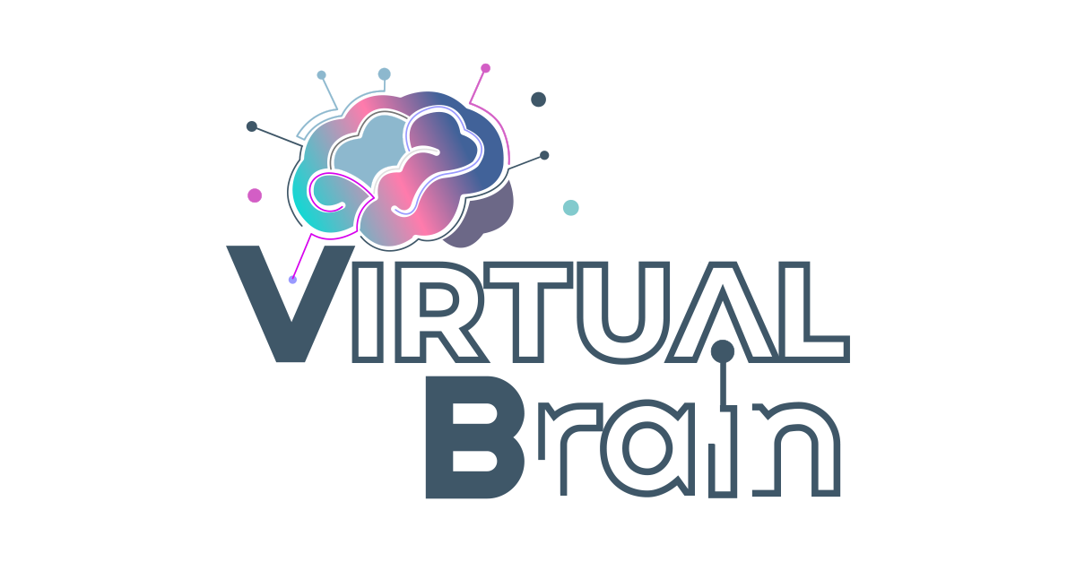 Virtual Brain - Vincent Bailleul